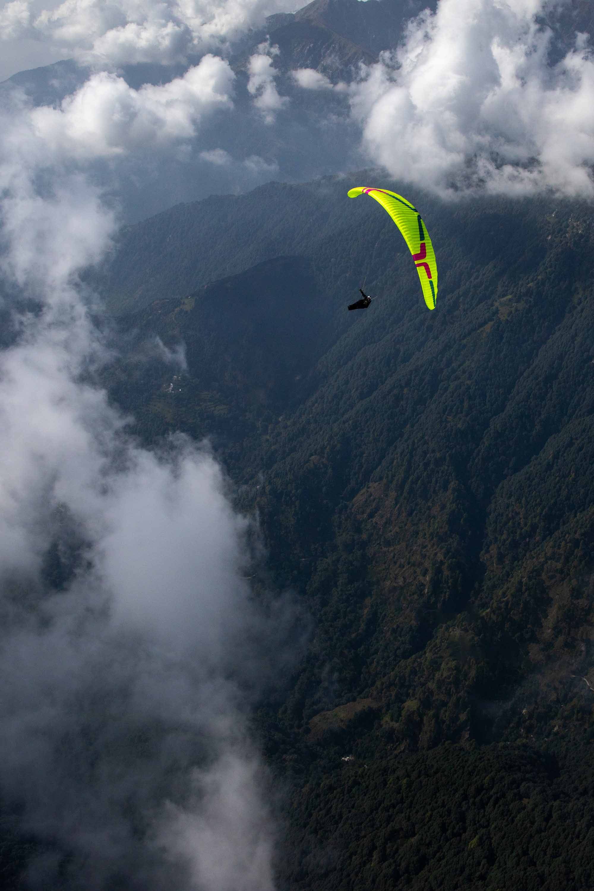Gliders - Full Size - Free Flight – Adventure Toy Store